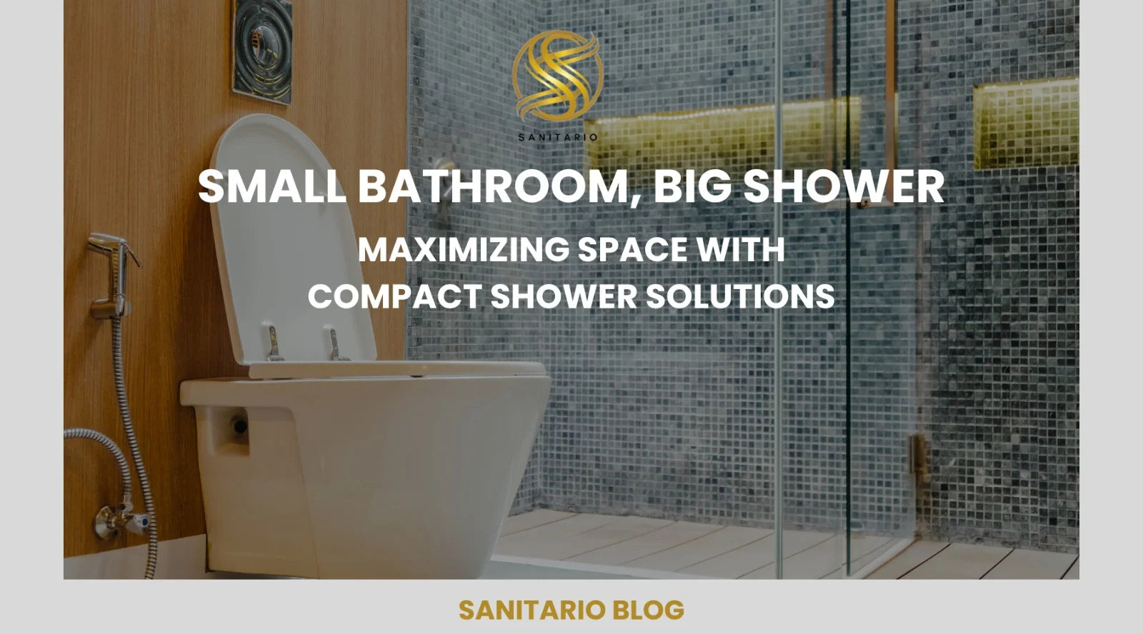Small Bathroom, Big Shower: Maximizing Space with Compact Shower Solut ...